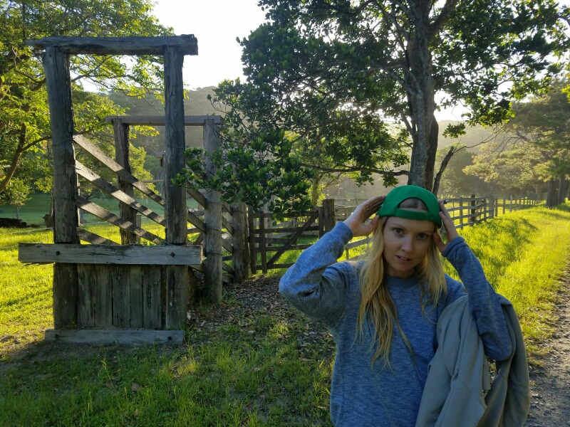 contact / about – Holly English